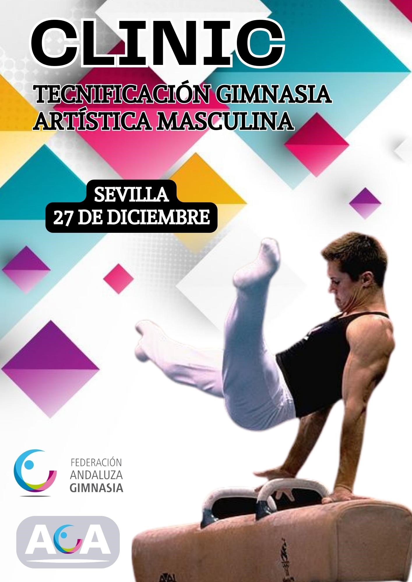 CLINIC TECNIFICACIÓN GIMNASIA ARTÍSTICA MASCULINA - Federación Andaluza de Gimnasia